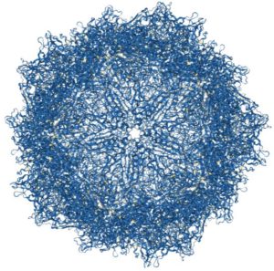 Spirovant – Revolutionary Treatments for Genetic Lung Diseases