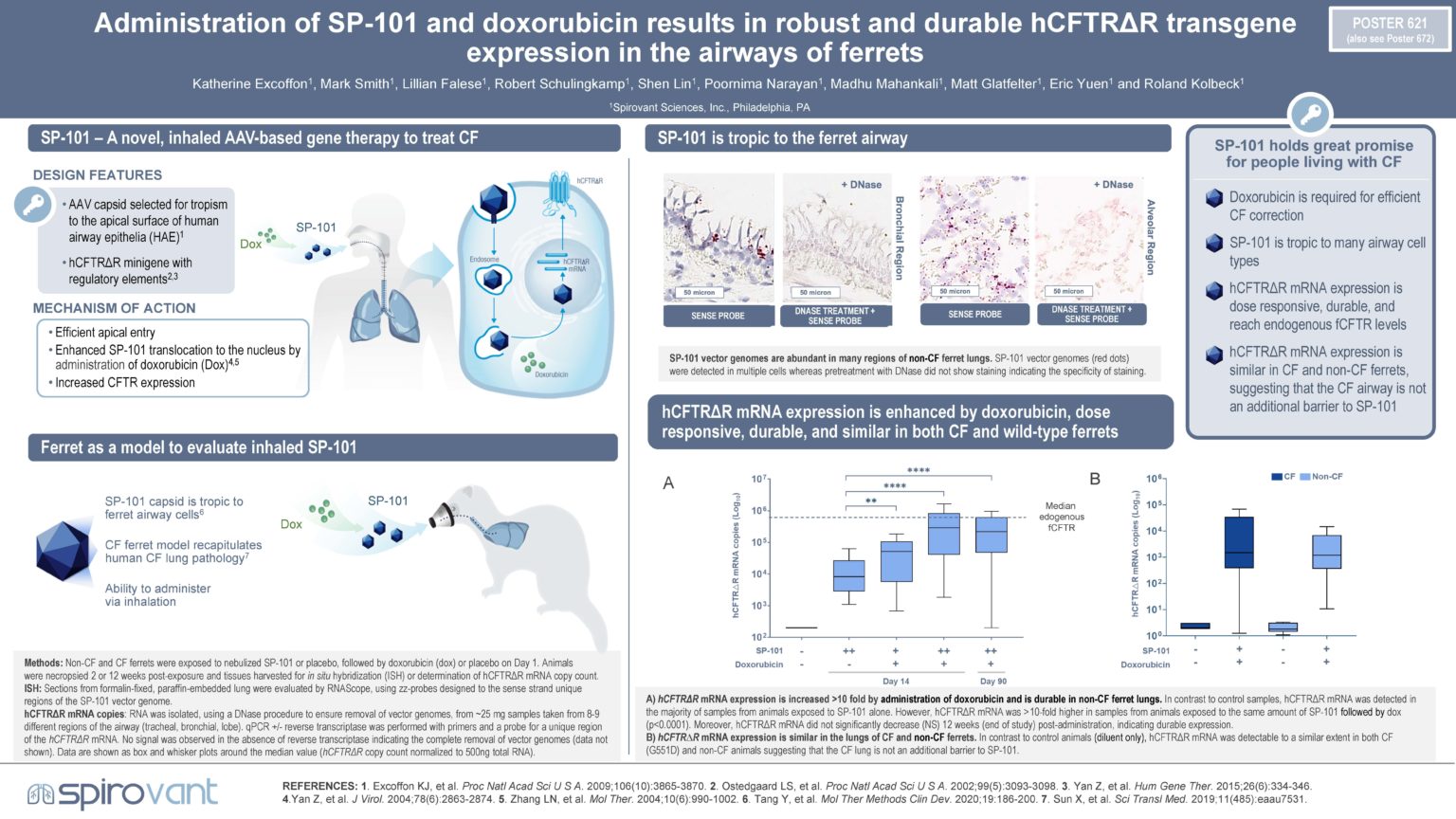 Poster: 621: Administration of SP-101 and doxorubicin results in robust ...